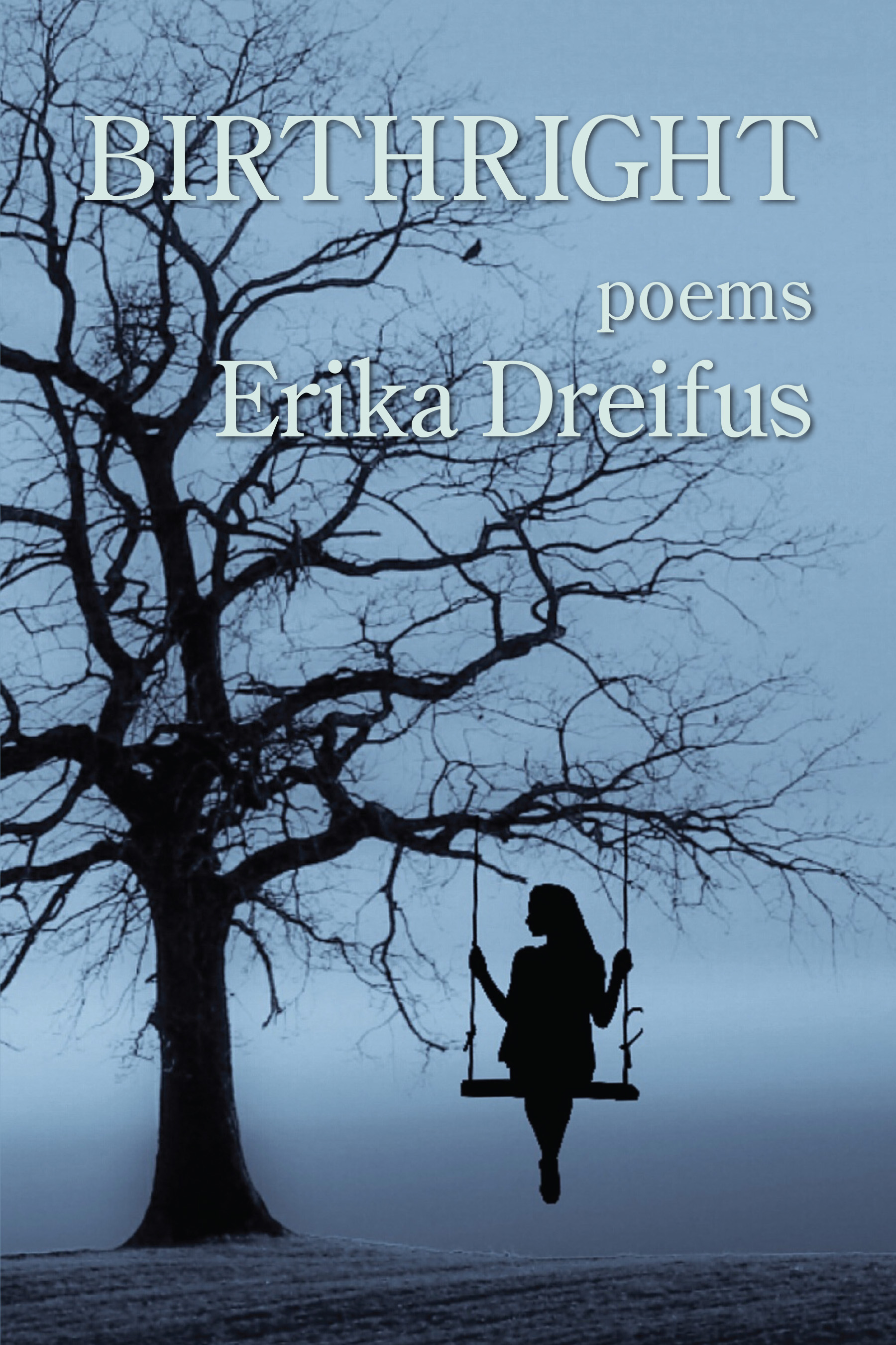 Q&A with Erika Dreifus, author of BIRTHRIGHT: Poems - Christi Craig