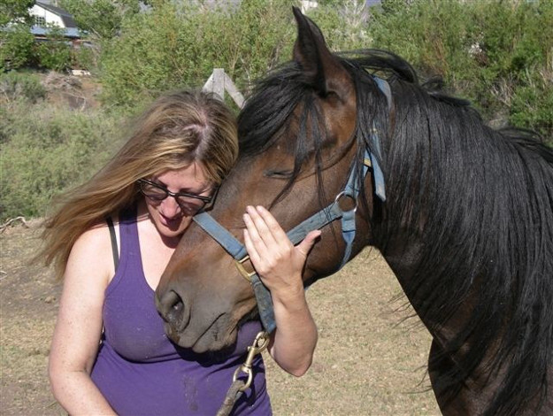 Sunday Series: Deanne Stillman on Why I Write - Christi Craig